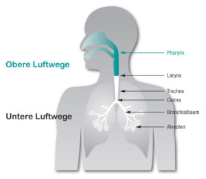 Praxis und Grundlagen – WILAmed