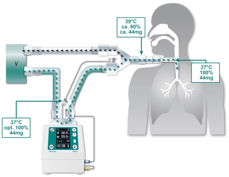 Practice and basics – WILAmed