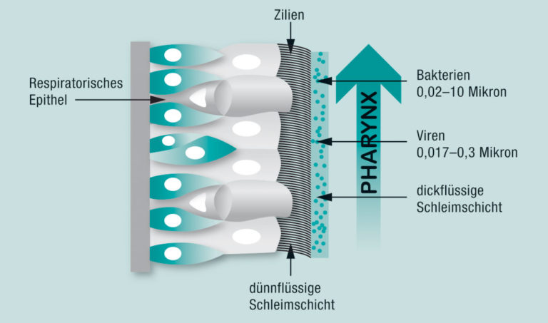 Praxis und Grundlagen – WILAmed